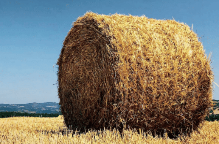 Canopy introduces USD two-billion investment blueprint at WEF Davos ...