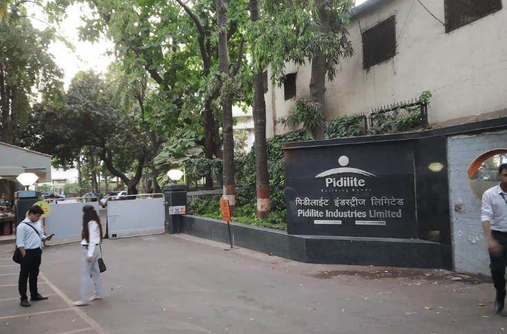 Pidilite maintains growth amid challenges | WhatPackaging?