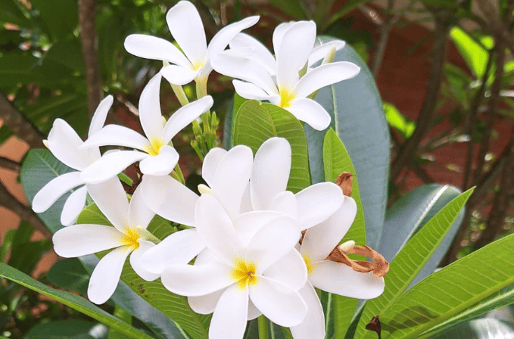 World Environment Day: ITC and AGI Glaspacs sustainable messaging ...