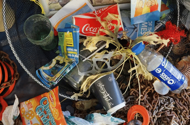 Food labels market to hit USD 116-billion | WhatPackaging?