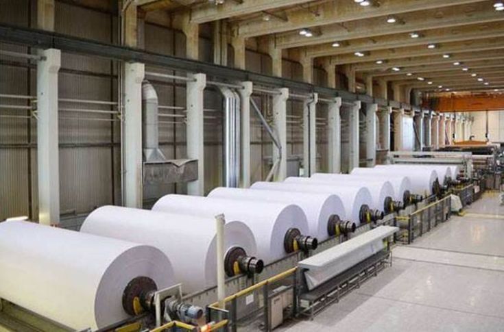 Shree Ajit Pulp And Paper inks MoU with Gujarat government | WhatPackaging?